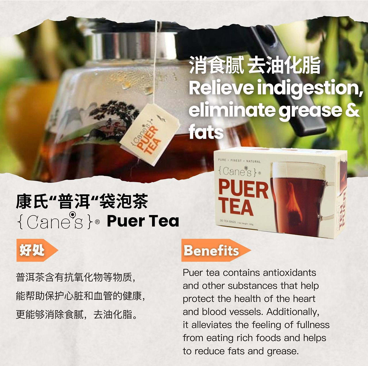 Purple Cane Online Tea Store